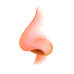 Rêver de nez - Divinatix